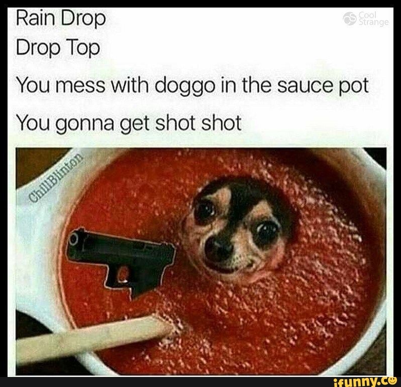 Rain Drop Drop Top You mess with doggo in the sauce pot You gonna get ...