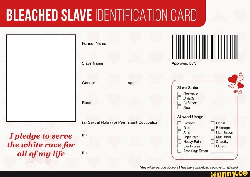 BLEACHED SLAVE IDENTIFICATION CARD Slave Name Approved by': Gender Age ...