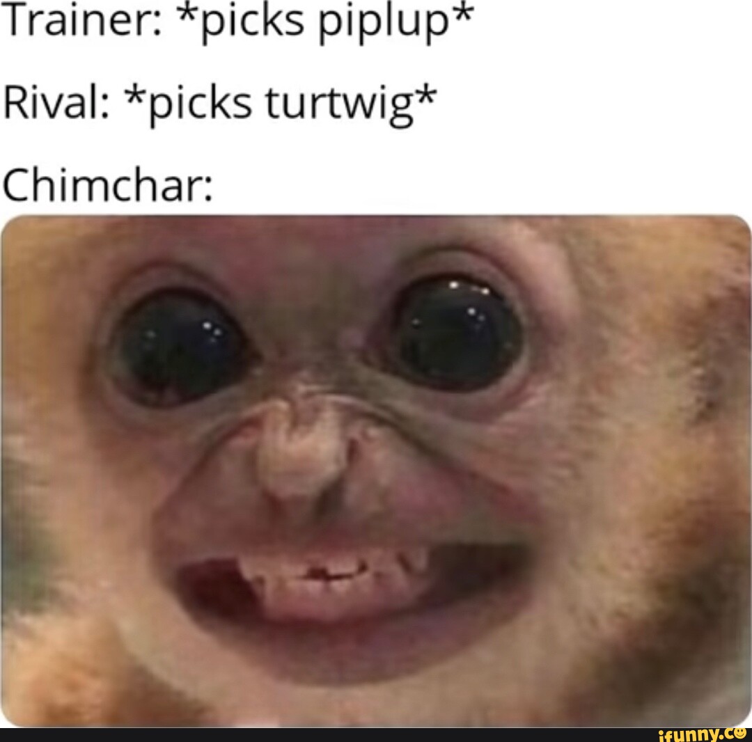 Piplup memes. Best Collection of funny Piplup pictures on iFunny