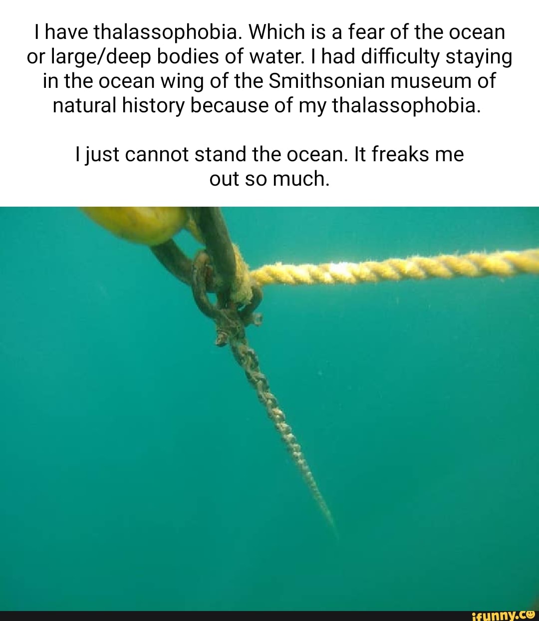 I have thalassophobia. Which is a fear of the ocean or bodies of water ...