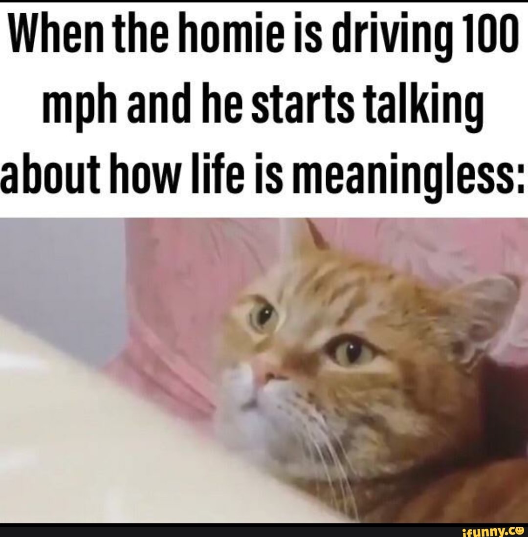 When the homie is driving 100 mph and he starts talking about how life ...