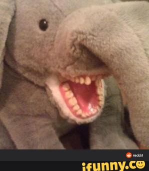 Cursed_elephant memes. Best Collection of funny Cursed_elephant ...