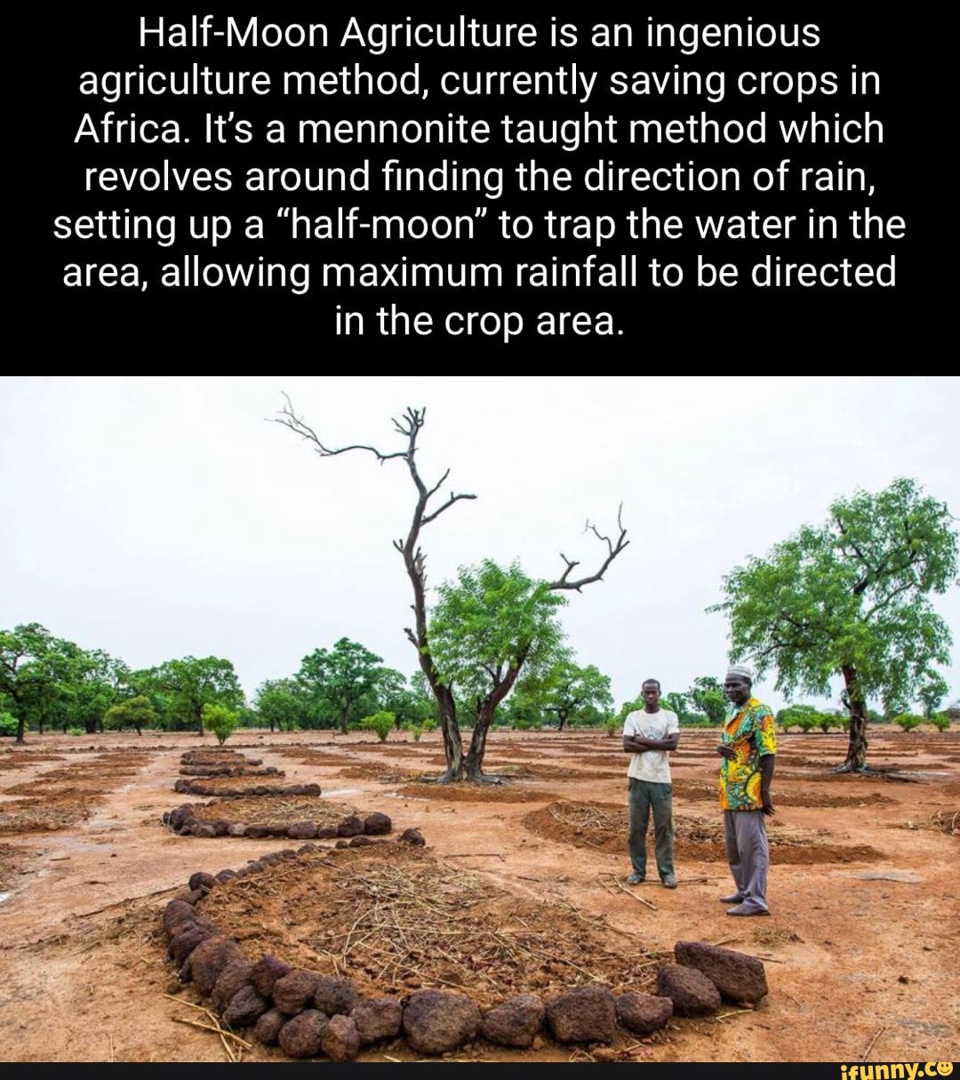 Half-Moon Agriculture is an ingenious agriculture method, currently ...