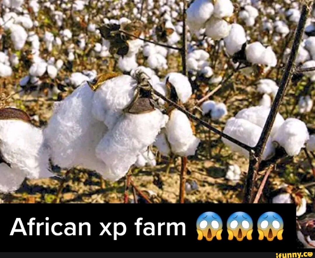African xp farm - iFunny