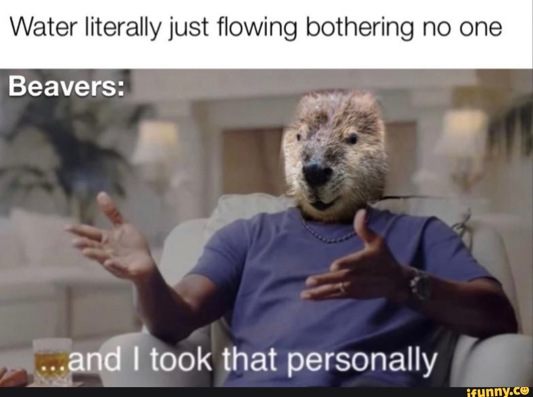 Water literally just flowing bothering no one Beavers: ..er> took that ...