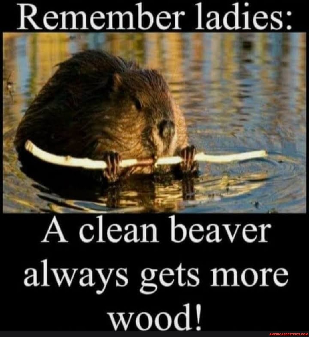 Remember ladies: A clean beaver always gets more wood! - America’s best ...