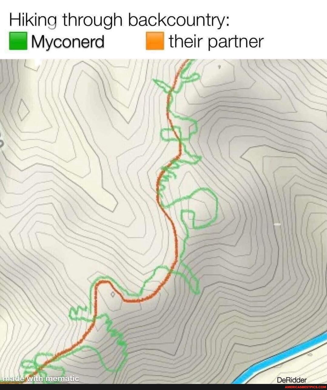 🍄 Happy Mushroom Monday! Meme by ddadjoking - Hiking through ...