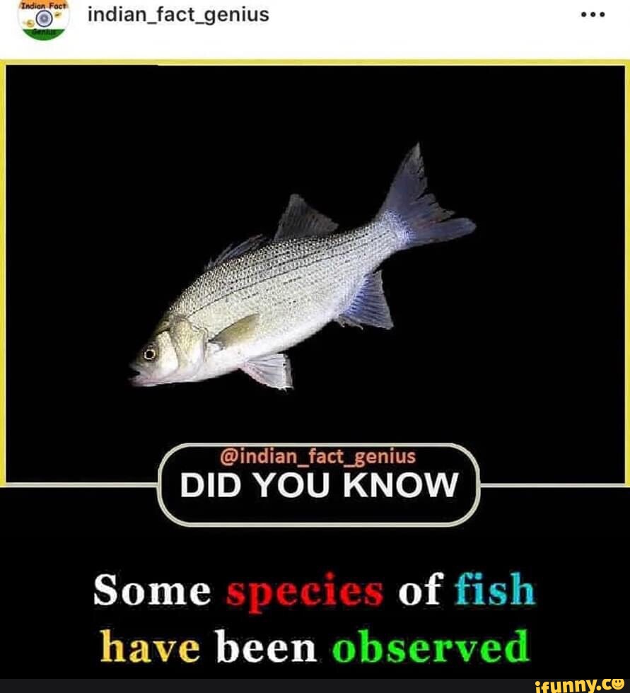 Indian_fact_genius @indian_fact_genius DID YOU KNOW Some specics of ...