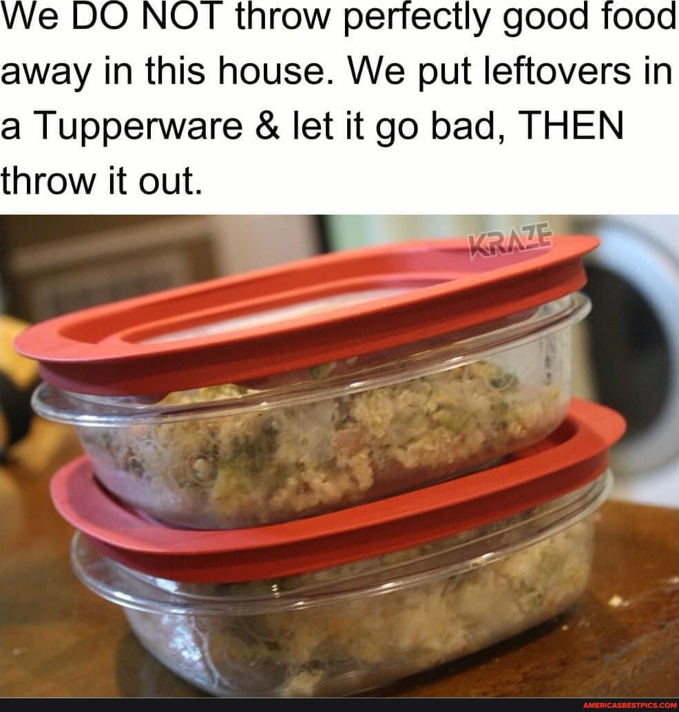 NOT throw pertectly good ood away in this house. We put leftovers in a ...