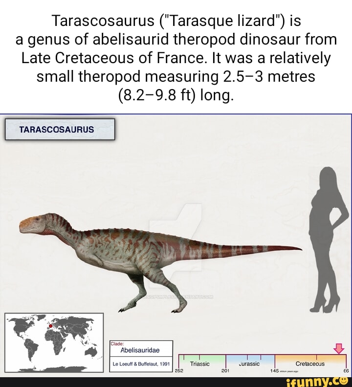 Tarascosaurus ("Tarasque lizard") is a genus of abelisaurid theropod ...
