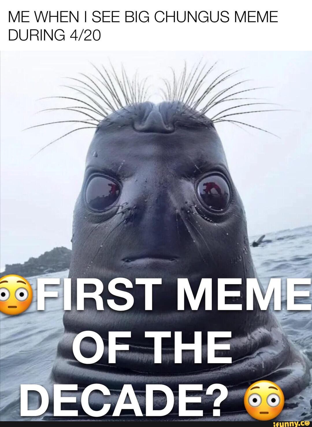 ME WHEN I SEE BIG CHUNGUS MEME DURING 4/20 - iFunny