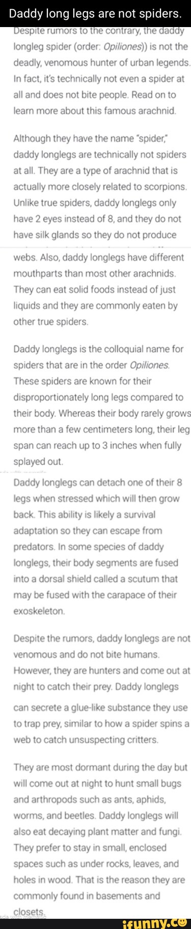 Daddy long legs are not spid: spite rumors to the contrary, the d ly ...