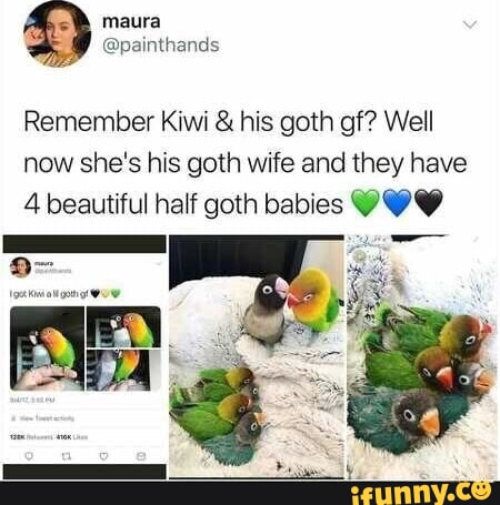 Maura memes. Best Collection of funny Maura pictures on iFunny