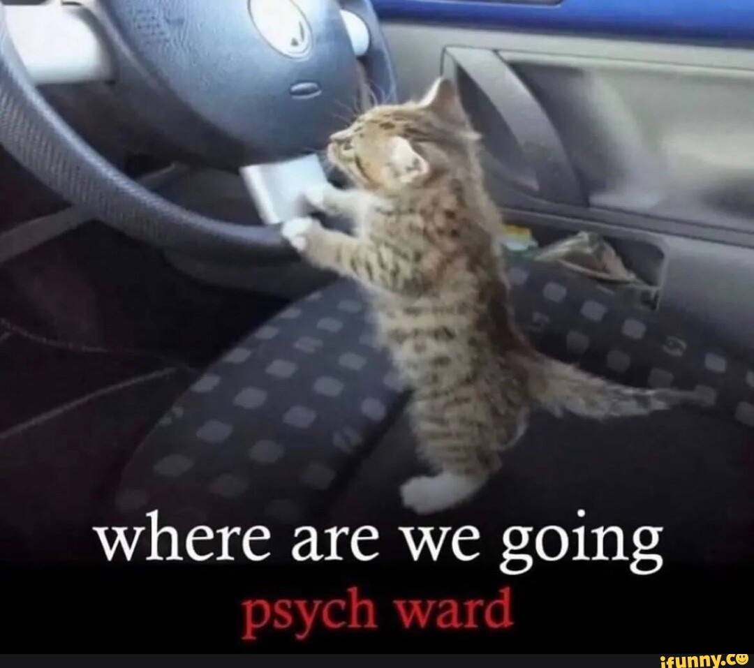 Where are we going psych ward - iFunny Where are we going psych ward - iFunny