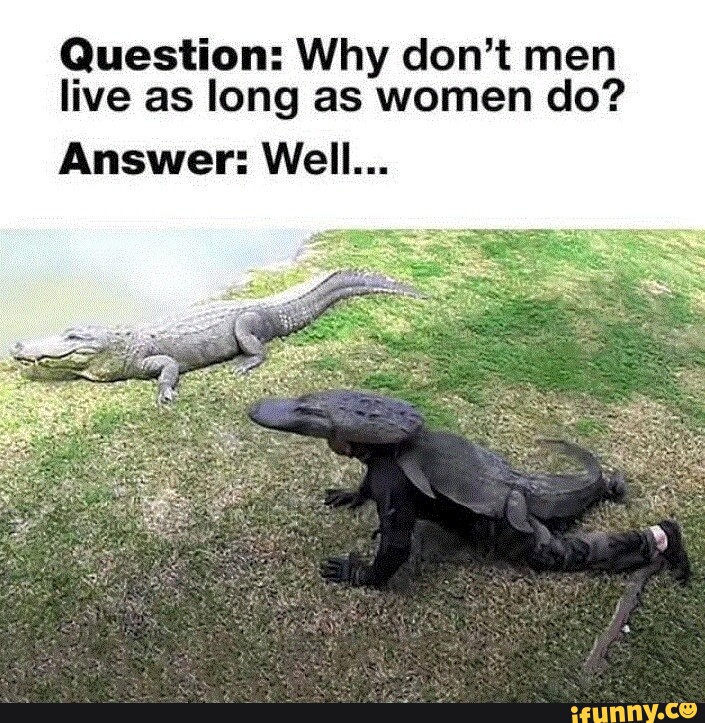 Alligator memes. Best Collection of funny Alligator pictures on iFunny