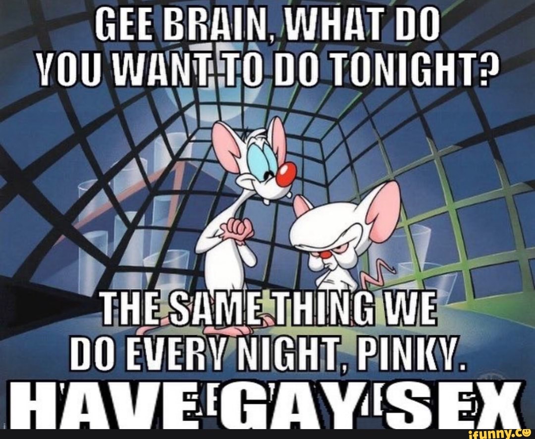 GEE BRAIN. WHAT DO YOU WANT 00 TONIGHT? THE SAME THING WE DO EVERY ...