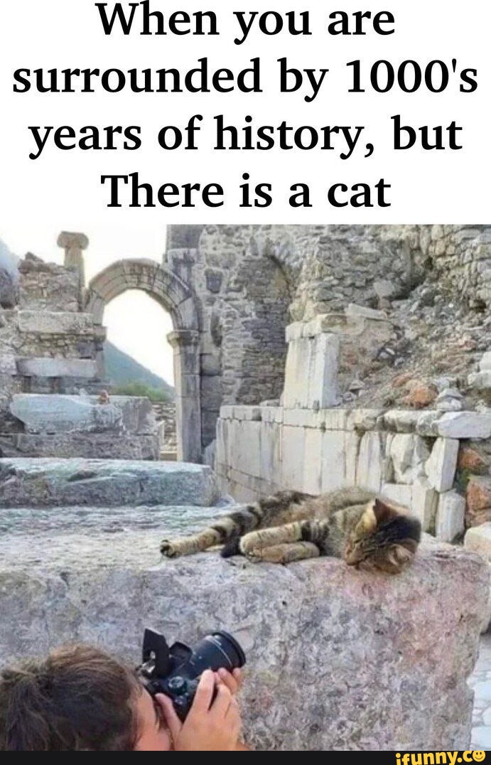 En you are surrounded by 1000's years of history, but There is is a cat ...