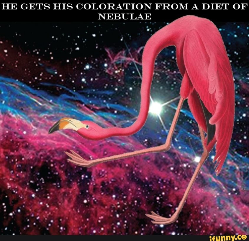 Nebulae memes. Best Collection of funny Nebulae pictures on iFunny