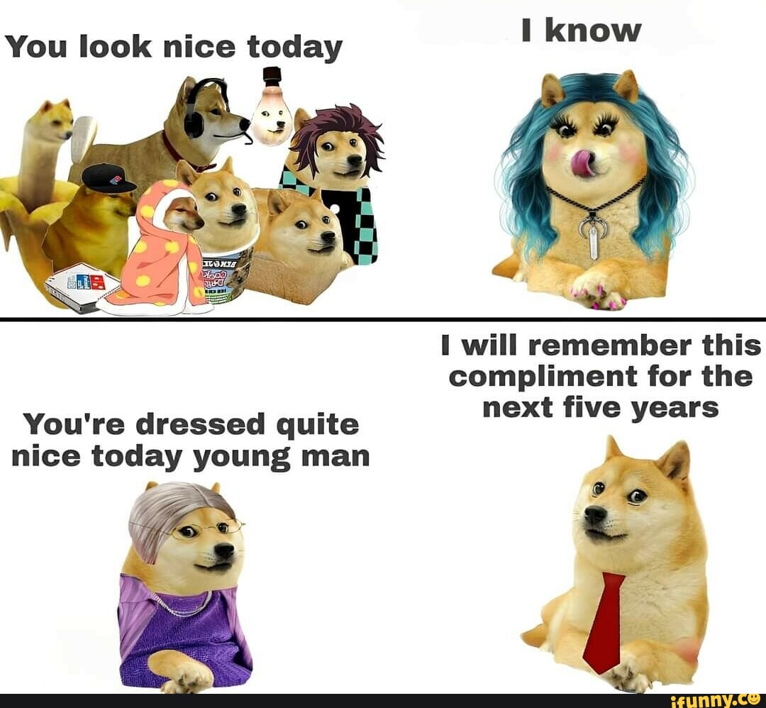 Cheems memes. Best Collection of funny Cheems pictures on iFunny