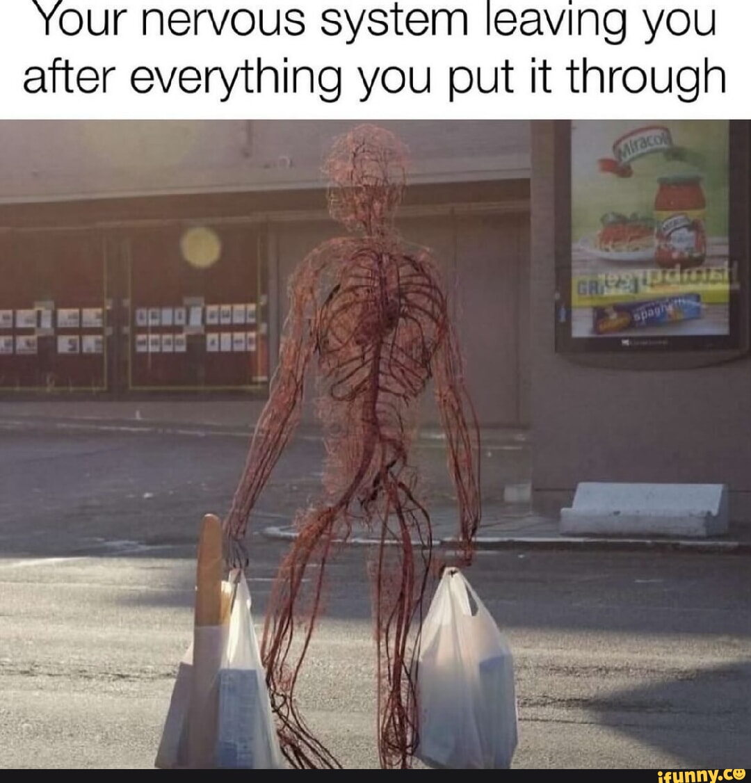 Your nervous system leaving you after everything you put it through ...