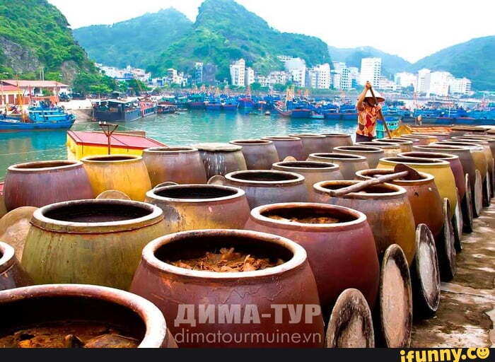 Surströmming memes. Best Collection of funny Surströmming pictures on ...