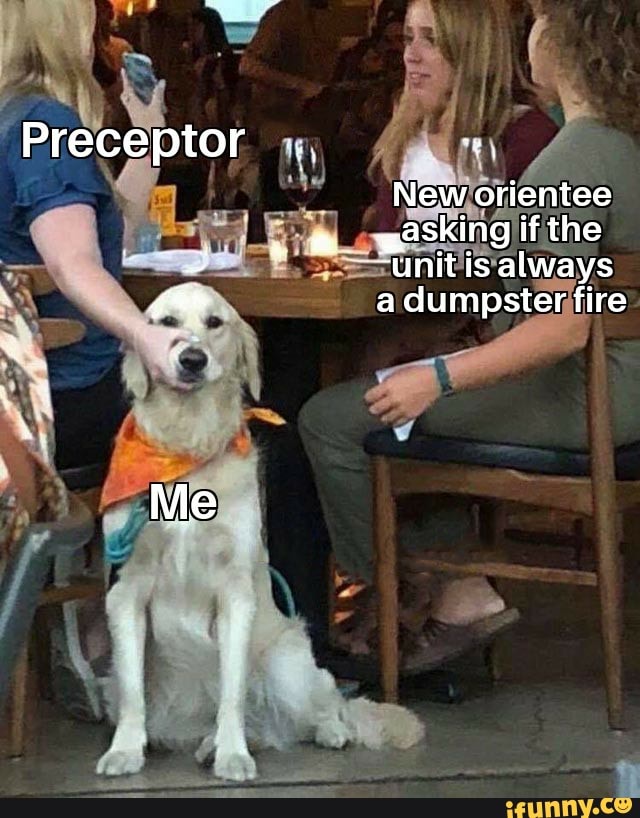 Preceptor New orientee asking if the "unit is always Me - iFunny
