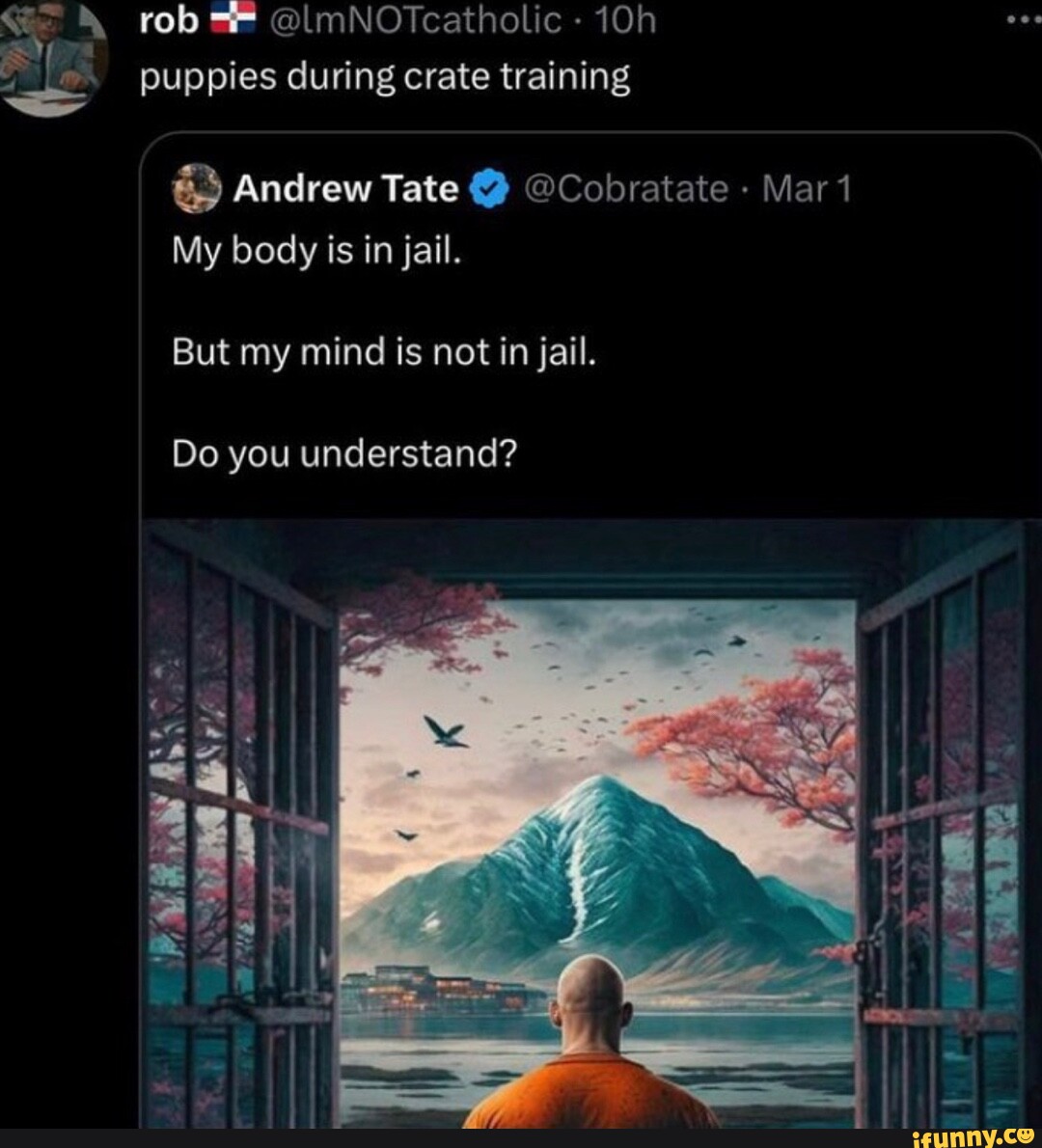 Rob @lmNOTeatholic puppies during crate training Andrew Tate @Cobratate ...