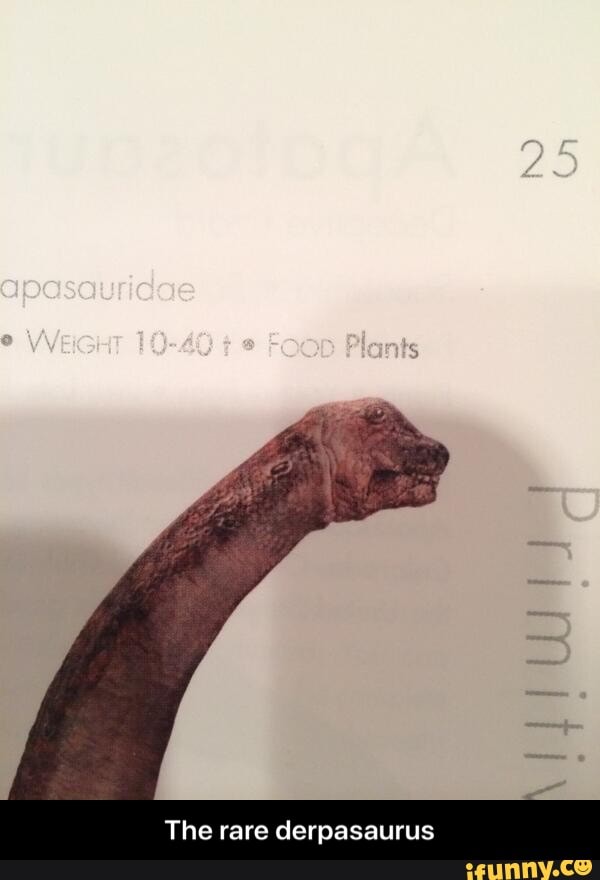 The rare derpasaurus - The rare derpasaurus - iFunny
