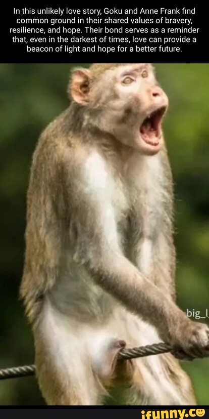 In this unlikely love story, Goku and Anne Frank find common ground in ...