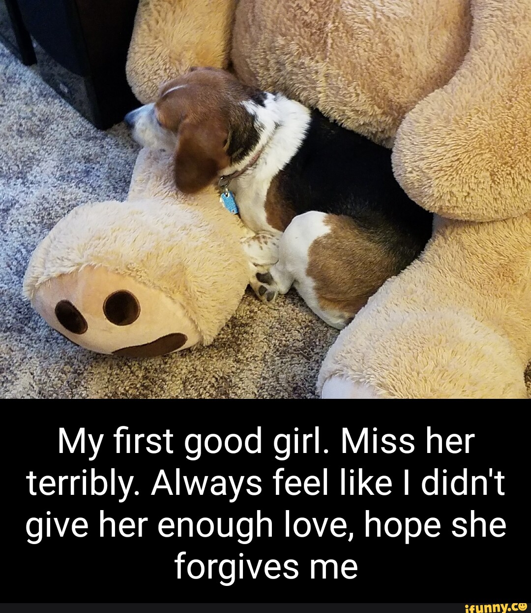 My first good girl. Miss her terribly. Always feel like I didn't give ...