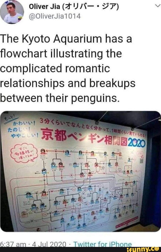 Flowchart memes. Best Collection of funny Flowchart pictures on iFunny