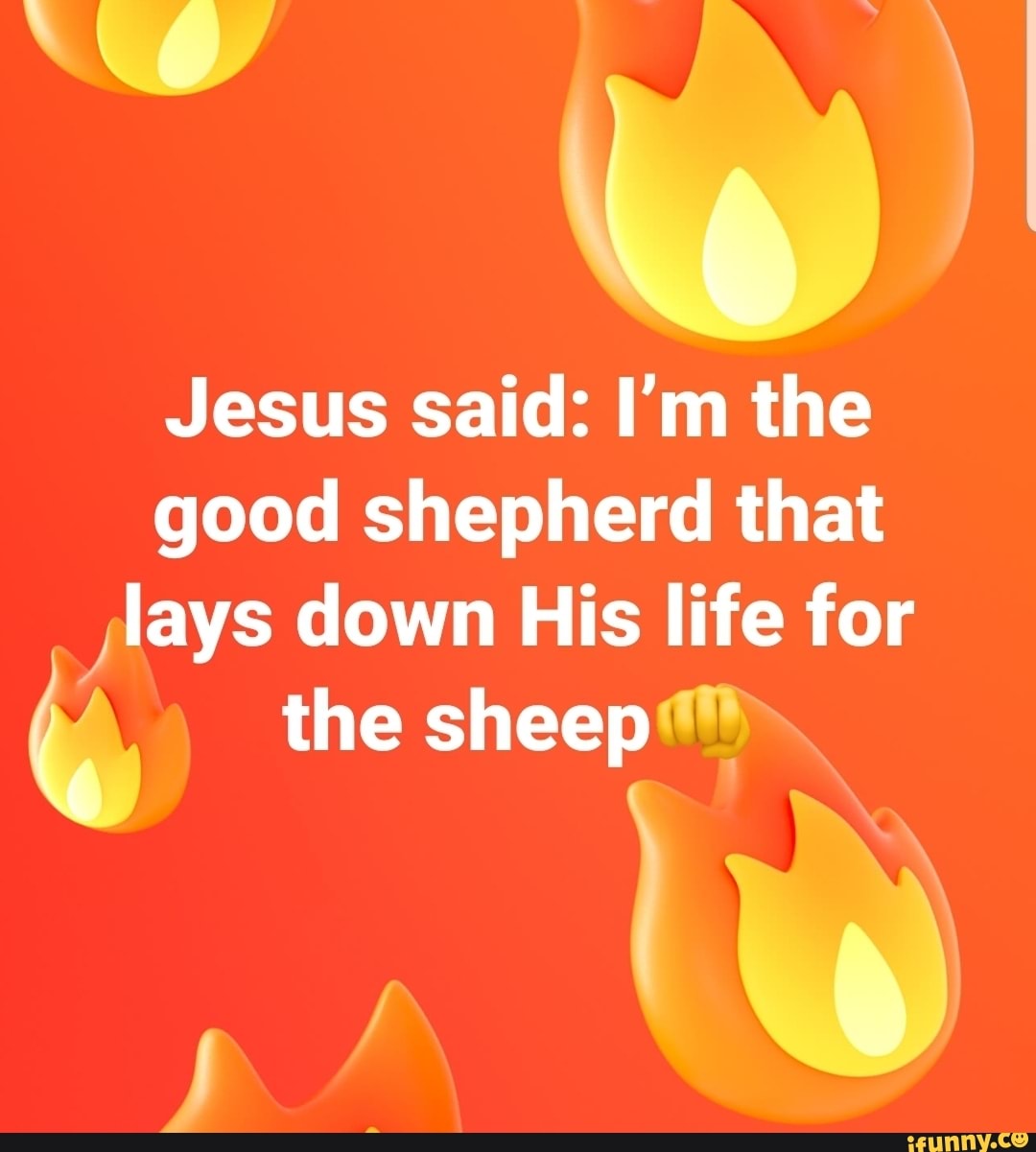 Jesus said: I'm the good shepherd that lays down His life for the sheep ...