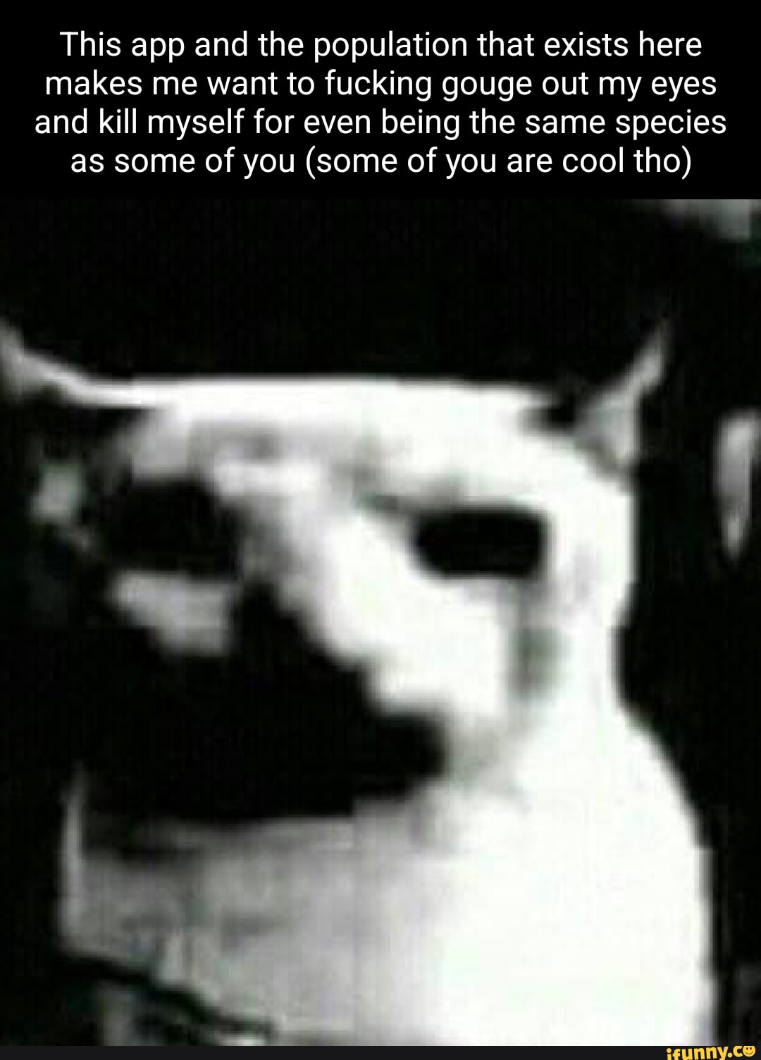 Gouge memes. Best Collection of funny Gouge pictures on iFunny