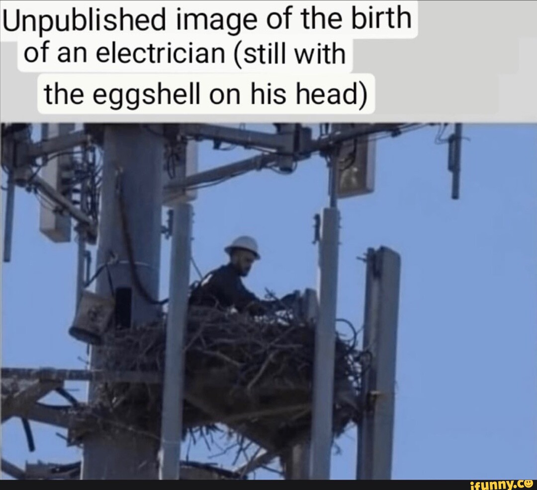 Eggshell memes. Best Collection of funny Eggshell pictures on iFunny