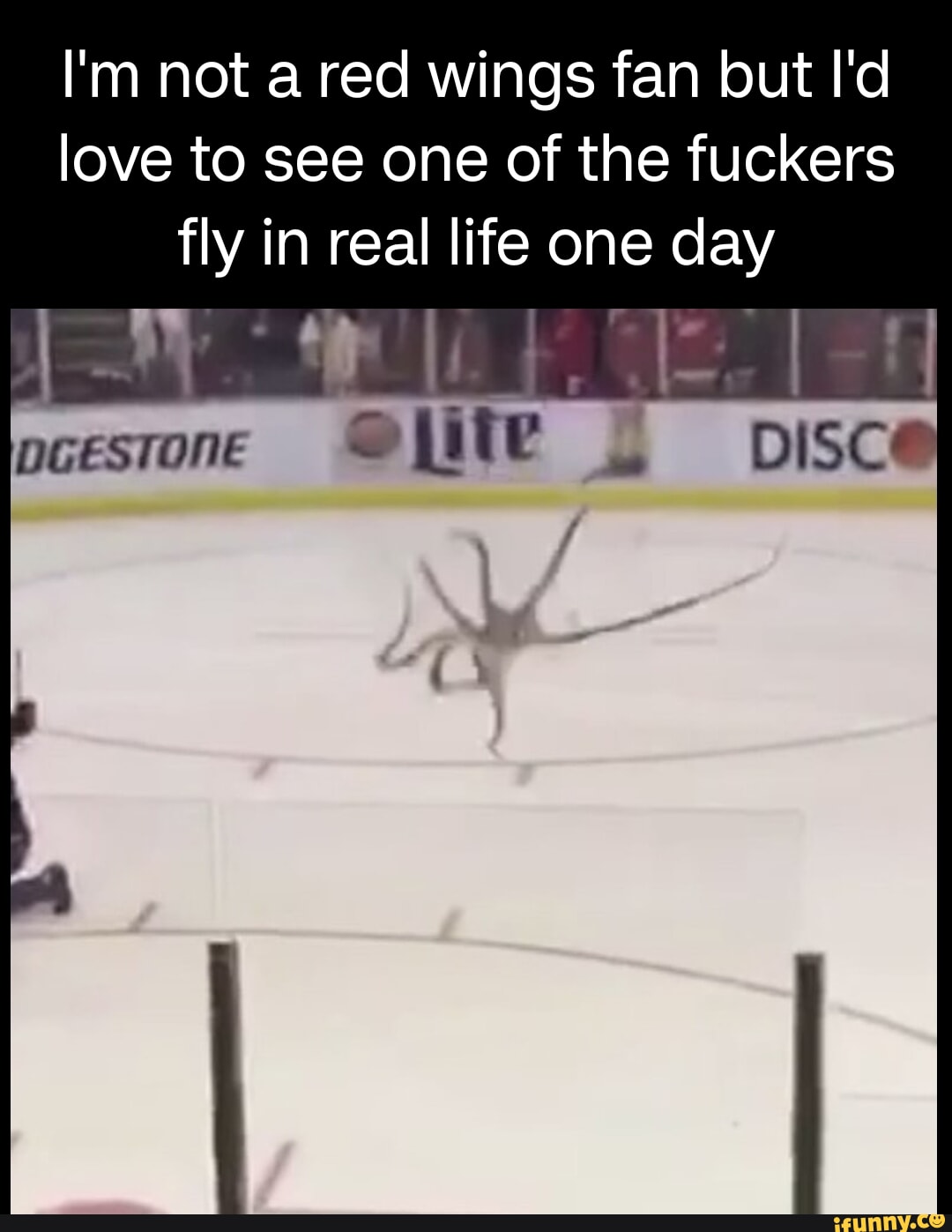 Wings memes. Best Collection of funny Wings pictures on iFunny