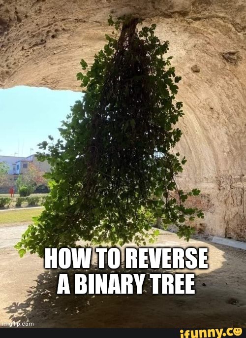 HOW TO REVERSE A BINARY TREE IFunny