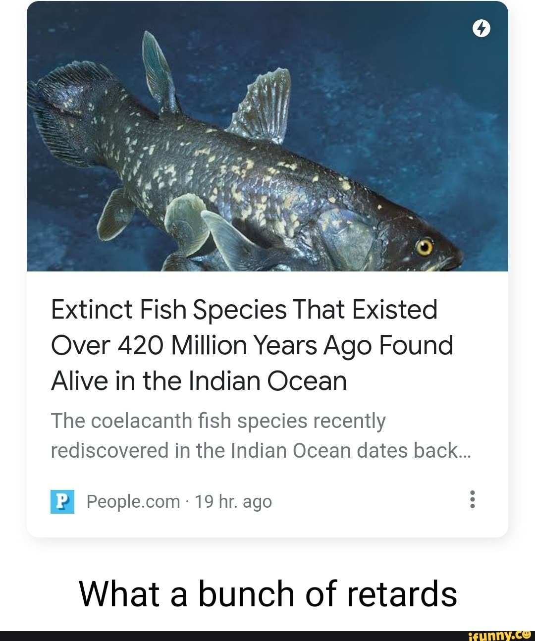 Extinct Fish Species That Existed Over 420 Million Years Ago Found ...