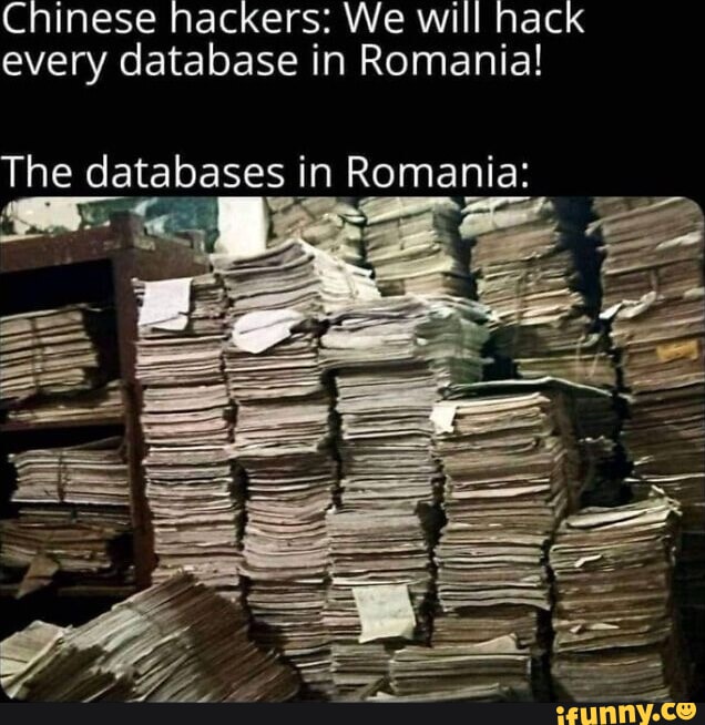 Raccoons are saddle breaking feral hogs and riding them into battle ...