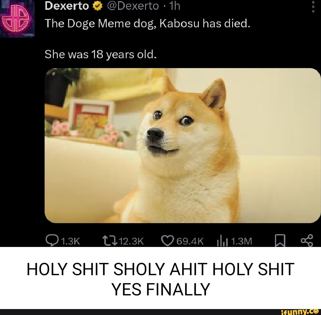 Dexerto @Dexerto th The Doge Meme dog, Kabosu has died. She was 18 ...