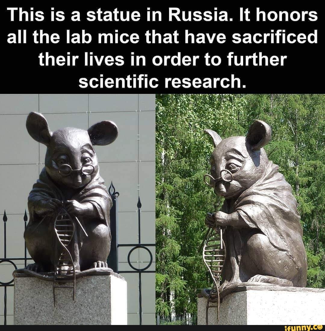 This is a statue in Russia. It honors all the lab mice that have ...