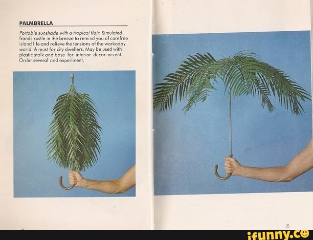 Fronds memes. Best Collection of funny Fronds pictures on iFunny