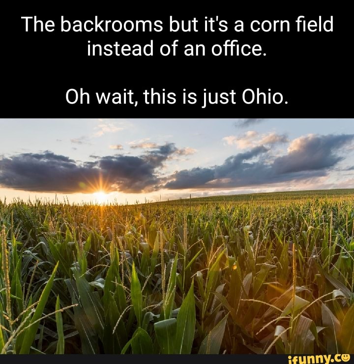 The backrooms but it's a corn field instead of an office. Oh wait, this ...
