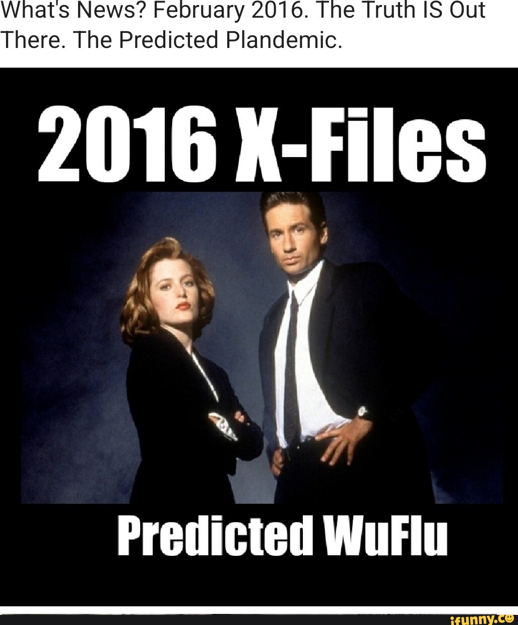 Wuflu memes. Best Collection of funny Wuflu pictures on iFunny
