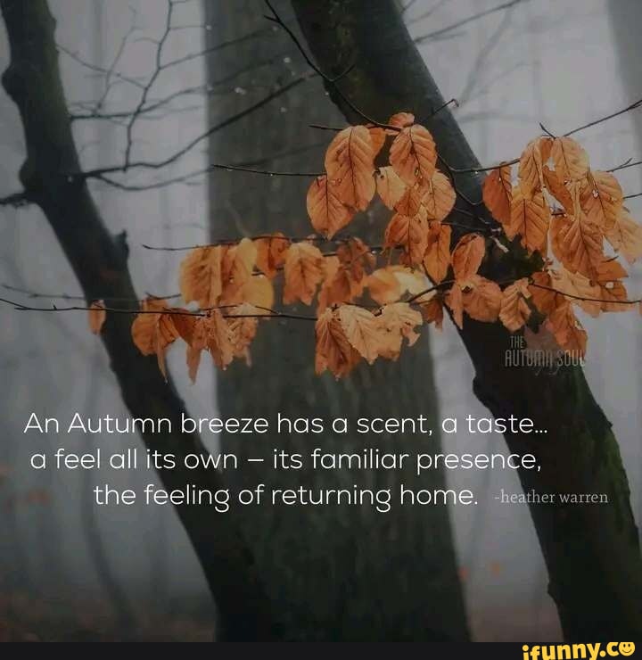 Breeze memes. Best Collection of funny Breeze pictures on iFunny