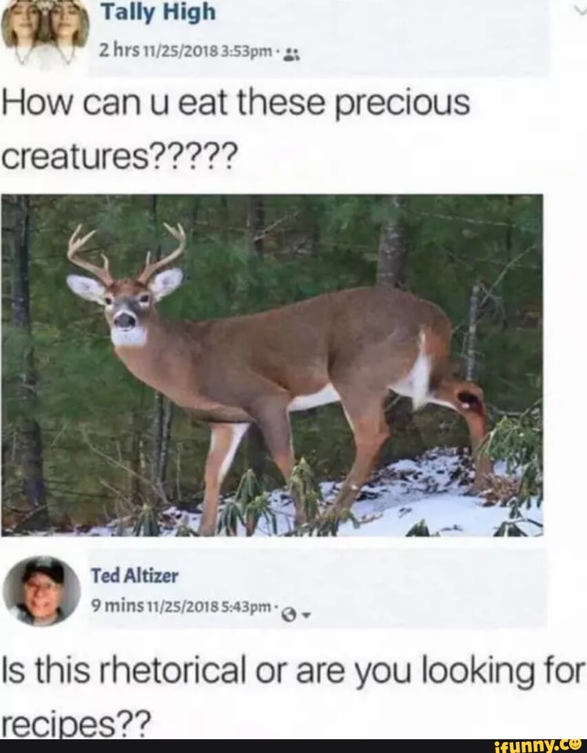 Rhetorical memes. Best Collection of funny Rhetorical pictures on iFunny