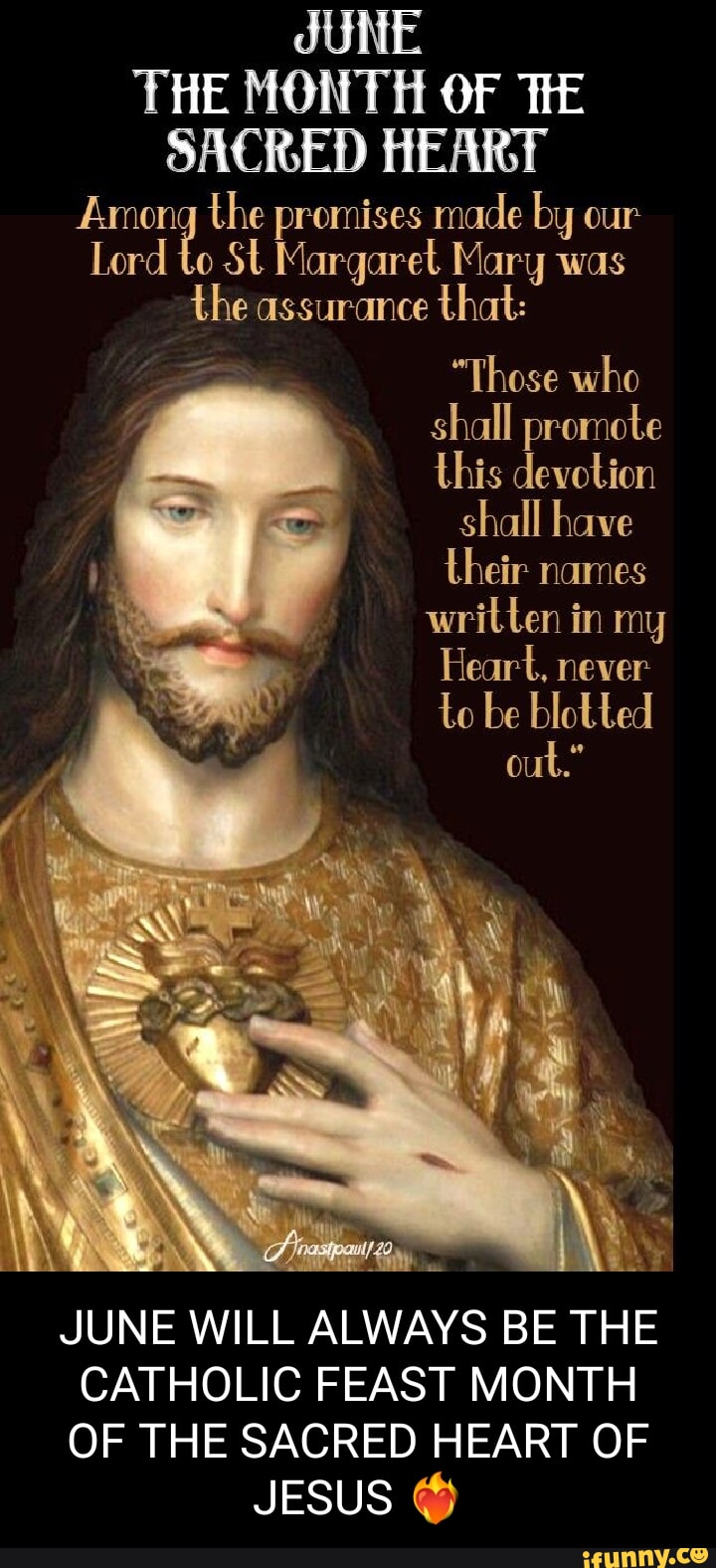 Devotion memes. Best Collection of funny Devotion pictures on iFunny