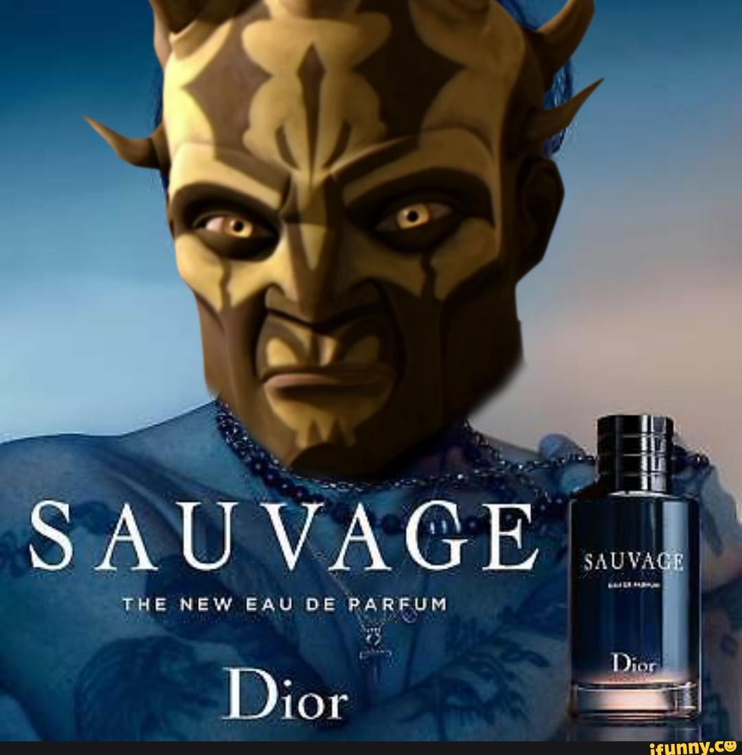 Bau memes. Best Collection of funny Bau pictures on iFunny