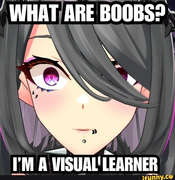 WHAT ARE BOOBS? I'M A VISUAL LEARNER - iFunny