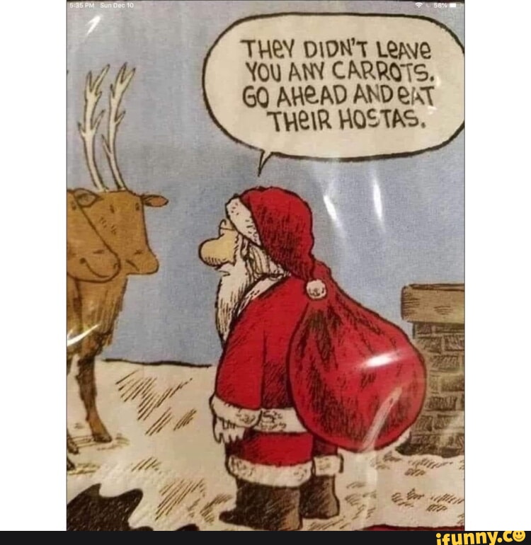 Hostas memes. Best Collection of funny Hostas pictures on iFunny