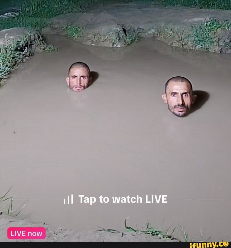 LiveLeak memes memes. The best memes on iFunny